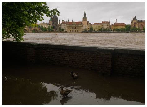 Prague Evacuated State Of Emergency As Floods Grip Czech Republic