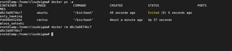 clean up docker resources images containers and volumes