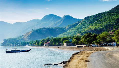 east timor travel doctor tmvc tmvc