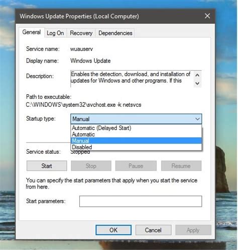 everything windows 10 december 2016