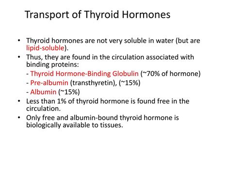 Ppt Production Regulation And Action Of Thyroid Hormones Powerpoint