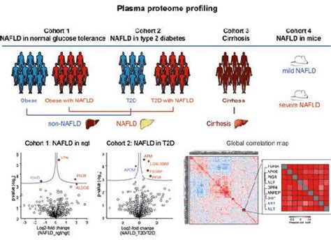 Plasma Proteome Profiling Discovers Novel Proteins Associated With Non