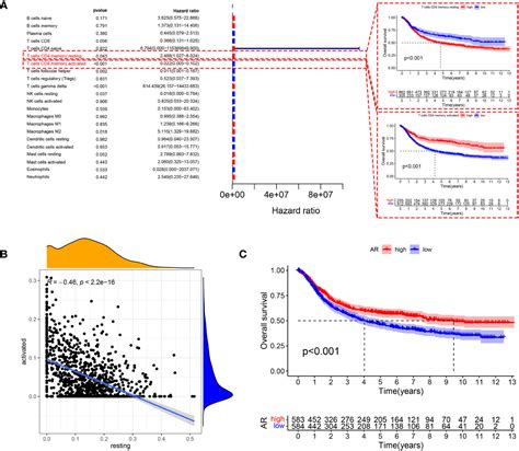 Frontiers Metabolic Reprogramming Involves In Transition Of Activated