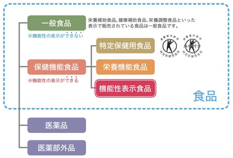 機能性表示食品の危険な認定とはについて：消費者が知るべき真実 I472s Blog