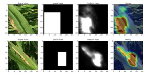 leaf disease detection using fr cnn and unet by abhaya kumar