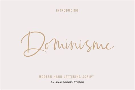 stephanie script font stunning script fonts ~ creative market