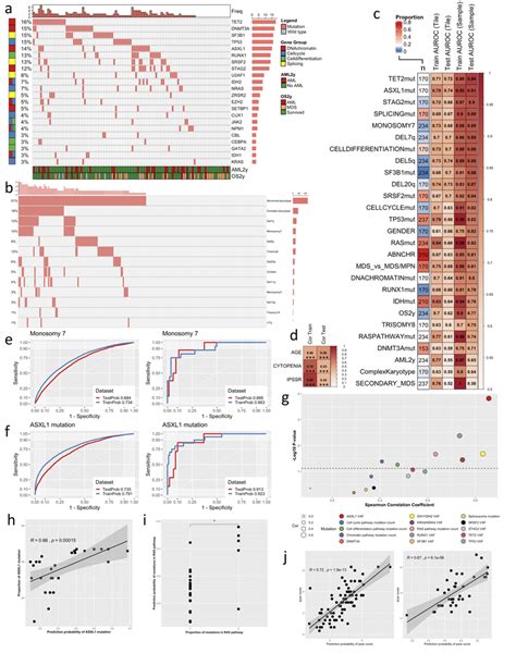 supervised learning on bone marrow bm morphological