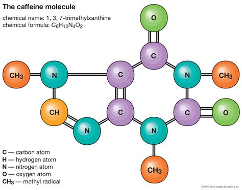 molecule definition examples structures and facts