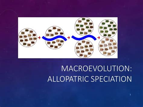Ppt Macroevolution Allopatric Speciation Powerpoint Presentation