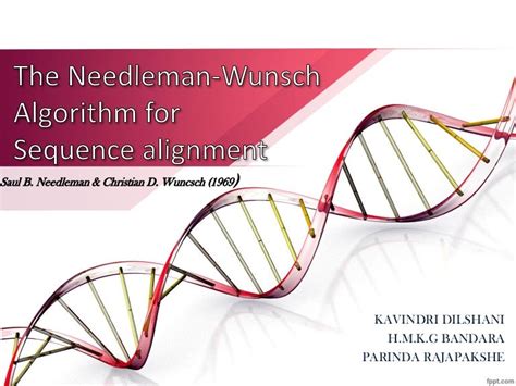the needleman wunsch algorithm for sequence alignment