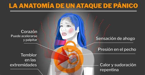 Anatomía De Un Ataque De Pánico Causas Síntomas Y Tratamiento Infobae