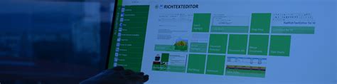 richtexteditor control telerik ui for winforms