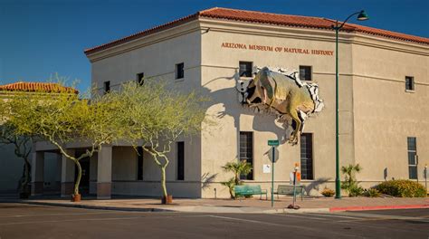 Arizona Museum Of Natural History Tours Book Now Expedia