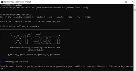 scan aborted unable to get metadata json