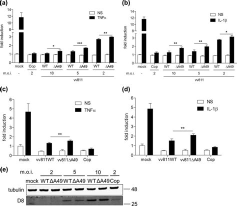 Vv811Δa49 Inhibits Tnf α And Il 1β Induced Nf κb Dependent Reporter