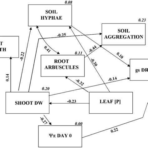 Squash Path Model Depicting The Hypothesized Causal Relationships