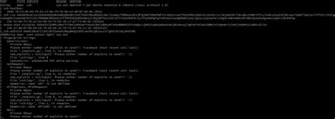 tryhackme solution develpy niek