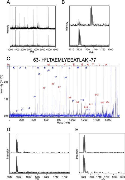 Maldi Tof And Maldi Tof Tof Spectra Of The Digested Irr Maldi Tof Mass