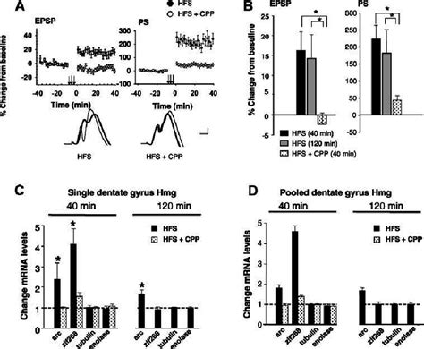 Nmdar Dependent Induction Of Ltp At Medial Perforant Path Granule