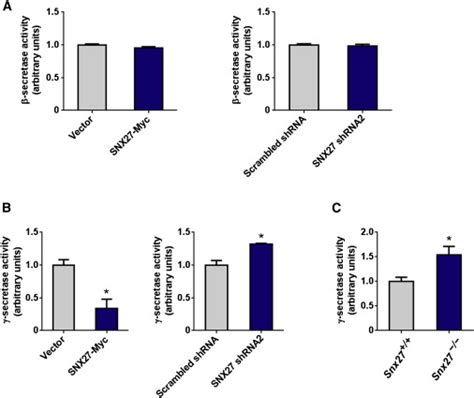 Sorting Nexin 27 Regulates Aβ Production Through Modulating γ Secretase
