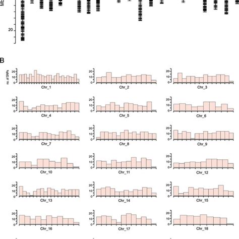 pdf a highly flexible and repeatable genotyping method