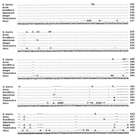 Alignment Of Nucleotide Sequences 5 To 3 Of The Its2 And ßanking 5 8s