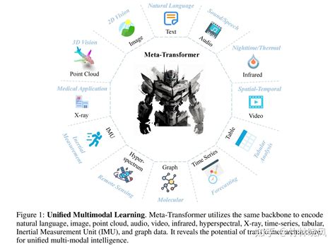 Meta Transformer A Unified Framework For Multimodal Learning 知乎