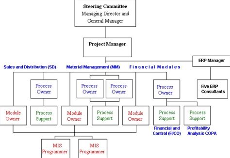 project team structure by functional module download