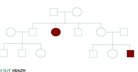 Inheritance Flashcards Quizlet