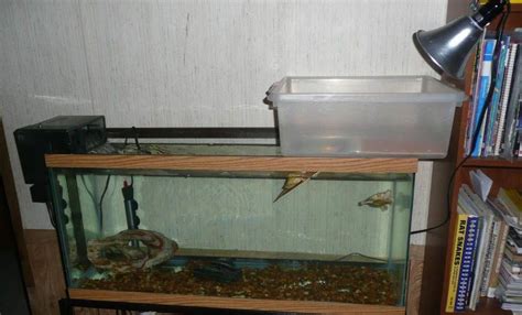 Plastic Container Turtle Dock Turtle Dock Turtle