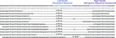 Deletion Mutations At Ccr5 Locus Identified By Ngs The Wild Type