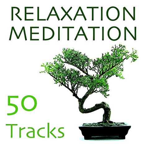 Riproduci Relaxation Meditation 50 Tracks Zen Spa Massage Reiki