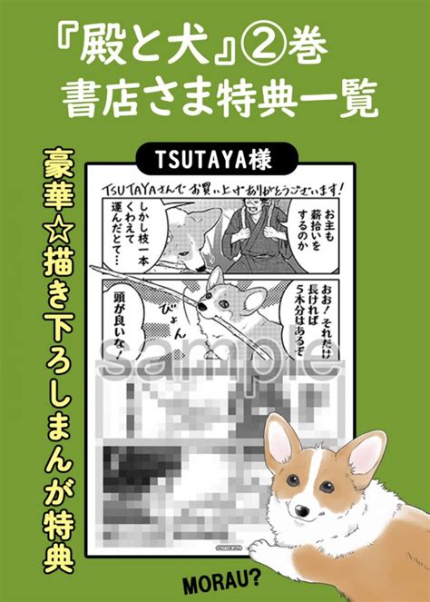 🐯コミックス①②巻発売中🐶『殿と犬（とのといぬ）』公式 On Twitter 🍡書店特典公開🍡 5／15発売『殿と犬』第2巻の 書店さん