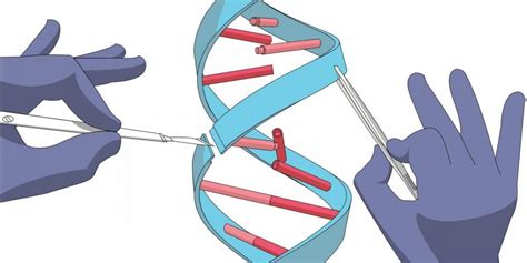 Crispr Cas9 Plant Breeding Is Now At The Speed Of Light Plantlet