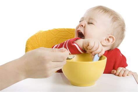 7个月婴儿辅食食谱大全（儿科医生） 幼儿百科 魔术铺