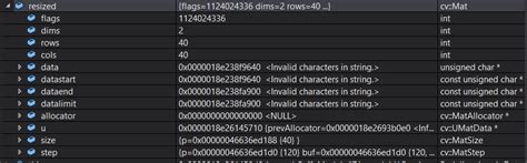how to solve this opencv dnn net forward access violation exception