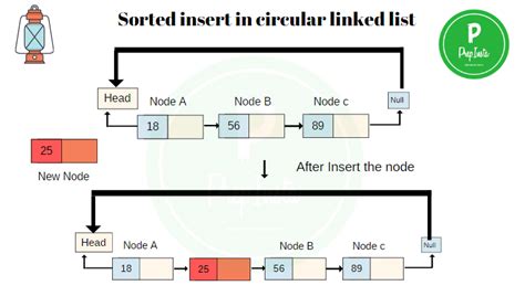 sorted insert in circular linked list in c prepinsta