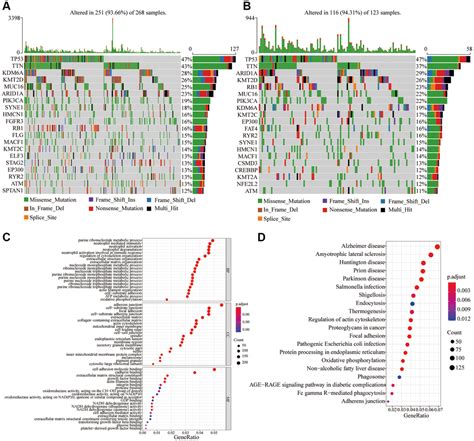 Development And Validation Of A Novel Model For Predicting The Survival