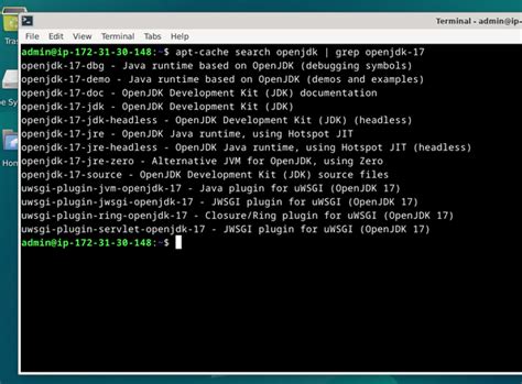 How To Install Openjdk 17 On Debian 12