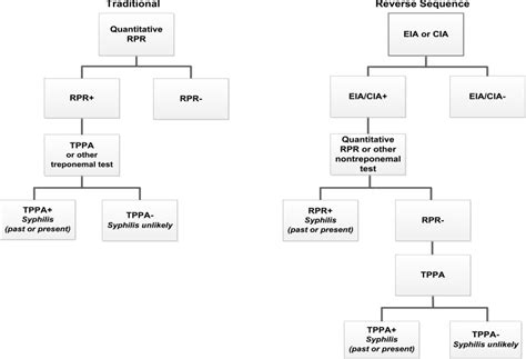 Introduction Screening For Syphilis Infection In Pregnant Women A