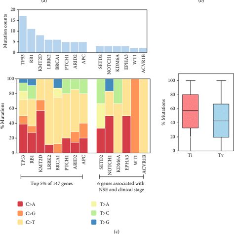 Figure 1 From Genetic Mutation Analysis In Small Cell Lung Cancer By A