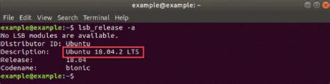 Check Ubuntu Version Find Your Systems Release