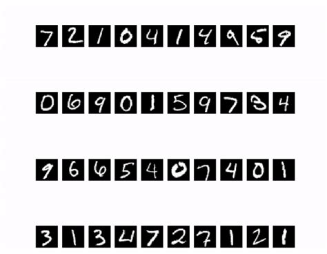 [python] inference and result display with tensorflow