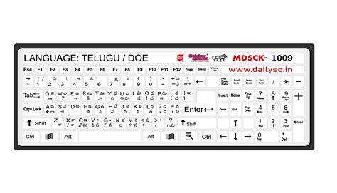 Dailyso Telugu Doe Keyboard Sticker Big Size Pack Of 2 For Computer