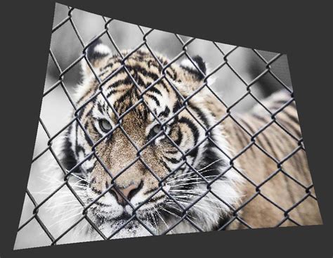 image module class image — pillow pil examples