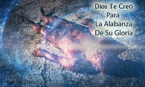 Devocional ¿por Qué Dios Creó Al Hombre