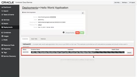 running a docker container with oracle container cloud