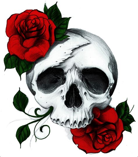 Rose Skull By A Midza On Deviantart
