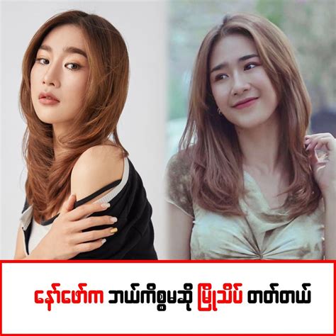 နော်ဖောက ဘယ်ကိစ္စကိုမဆို မြိုသိပ်တတ်တယ် နော်ဖောက နဂိုတည်းက ပရိတ်သတ