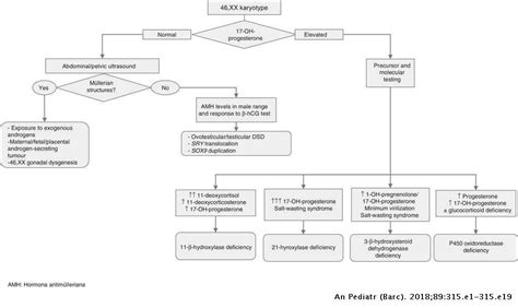 Management Guidelines For Disorders Different Sex Development Dsd